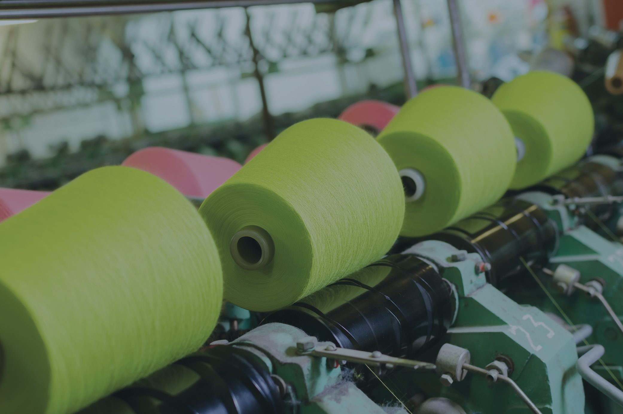 Dyeing Polyester - TVF