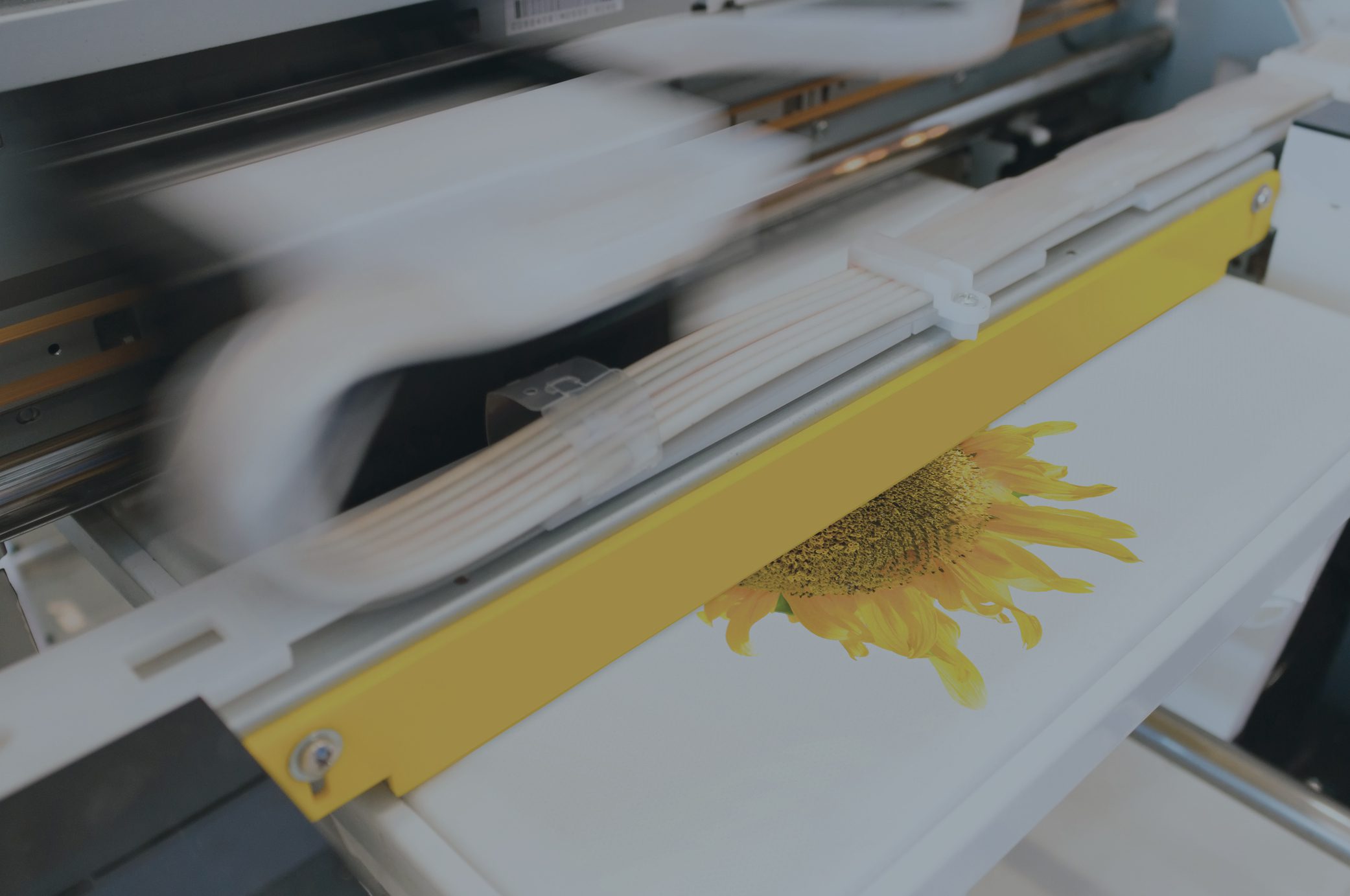 Printing Polyester - TVF