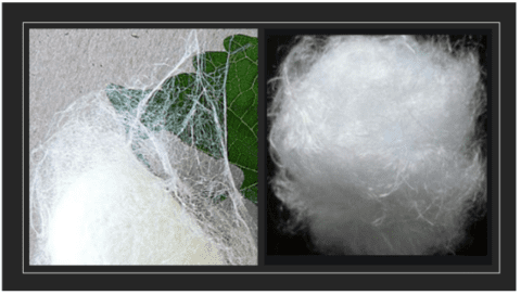 What is Nylon? - TVF