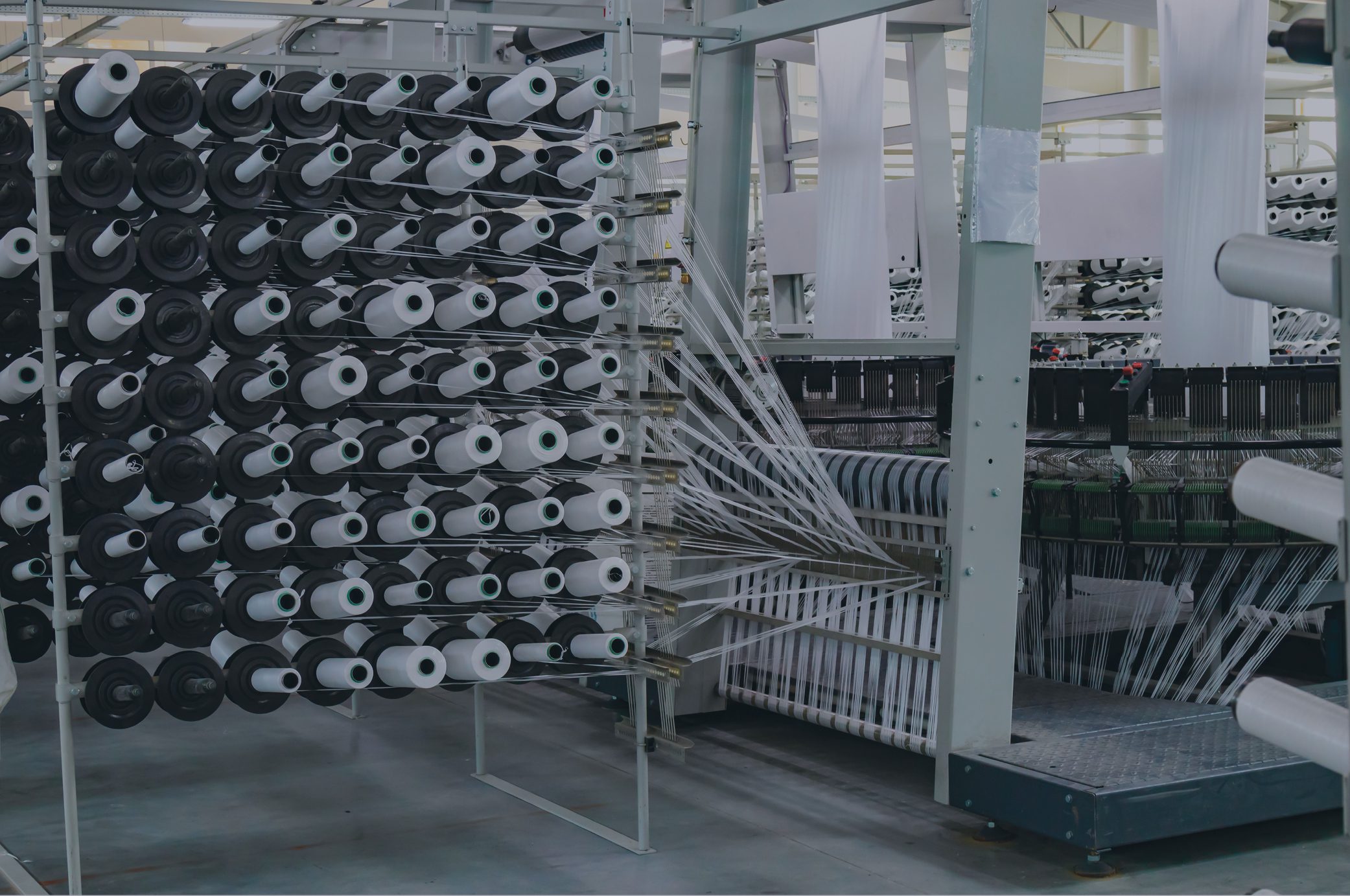 Vinyl Coated Polyester - TVF